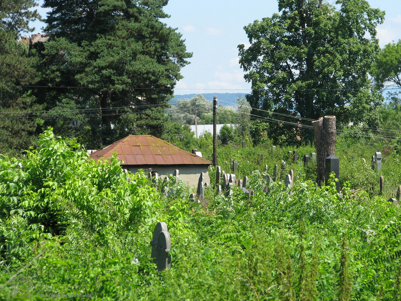 Photograph of: Shakhty Jewish Cemetery in Uzhhorod (Ungavár ...