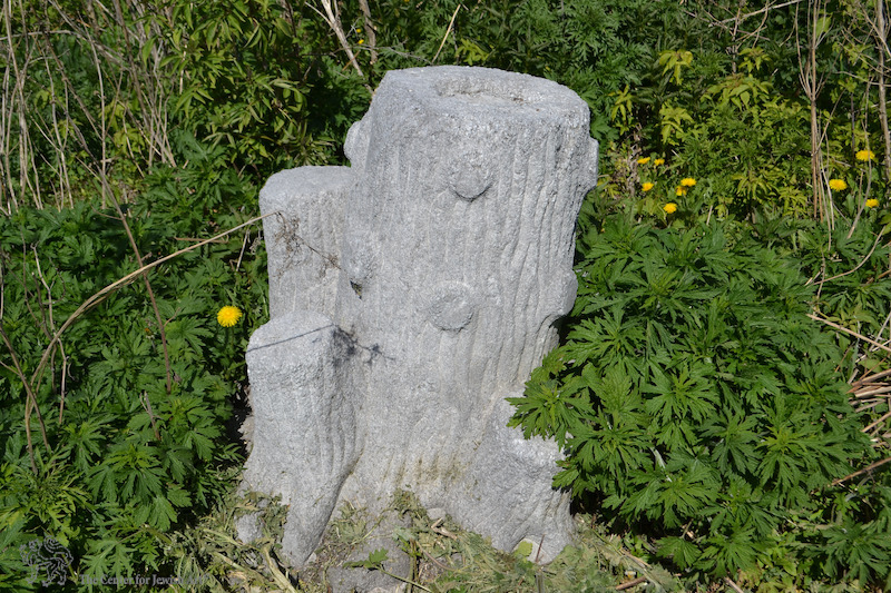 Photograph of: Jewish cemetery in Omsk | Photograph | NNL_ARCHIVE ...
